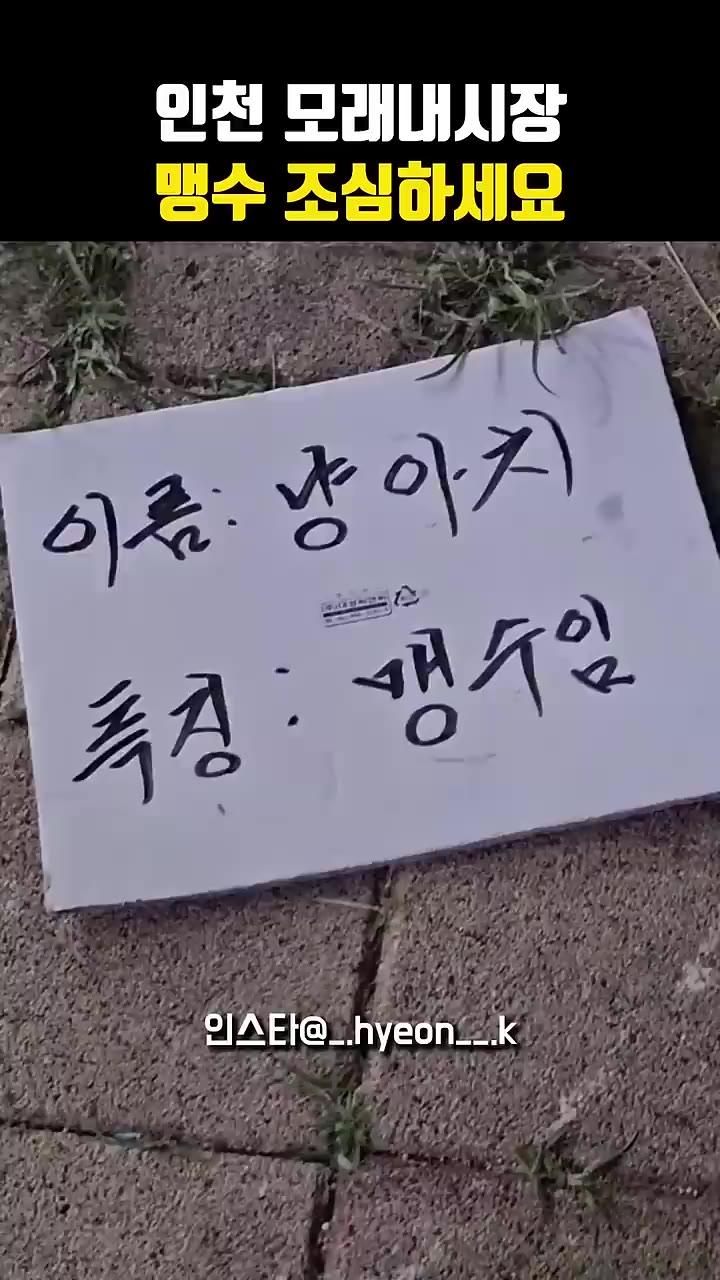 인천 모래내시장 맹수