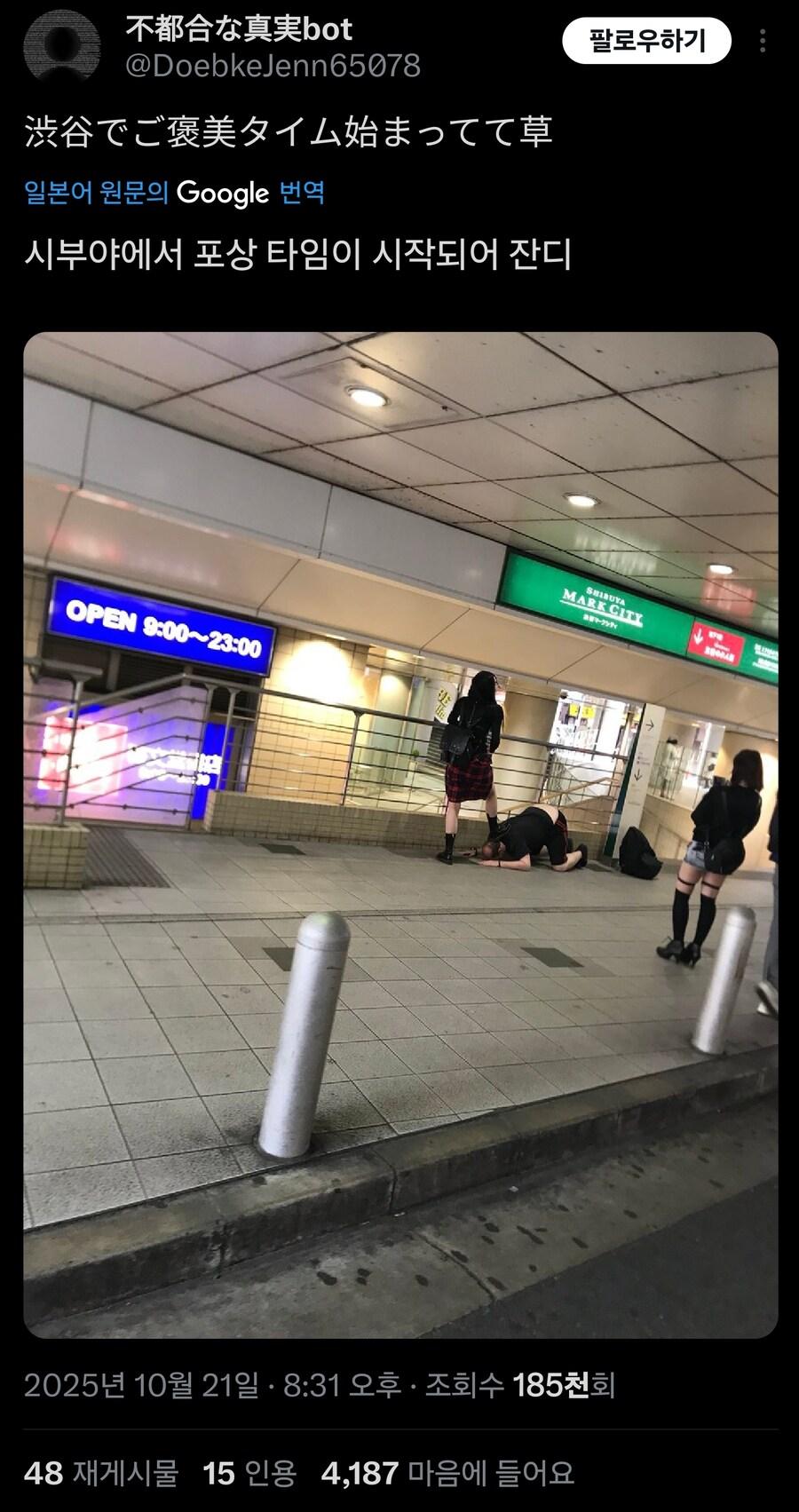 다이나믹한 일본